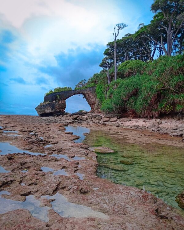 Neil Island – A visit to the tiny island of Andaman – The Wicked Soul